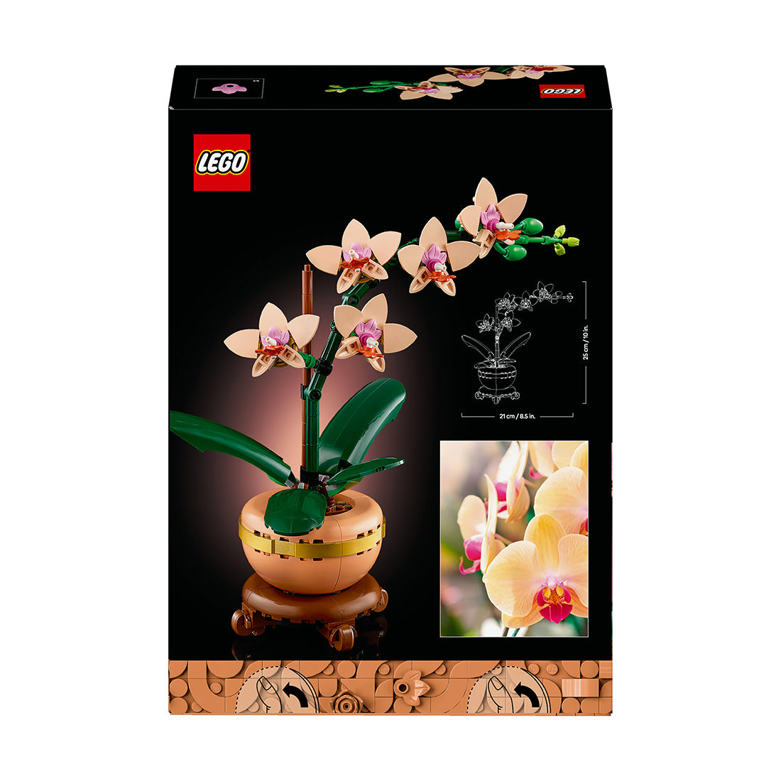 LEGO® Botanicals Collection | Import A Toy